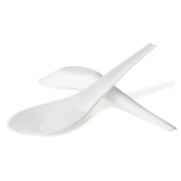 Biodegradable CPLA Cutlery Set - Keywood International Inc.